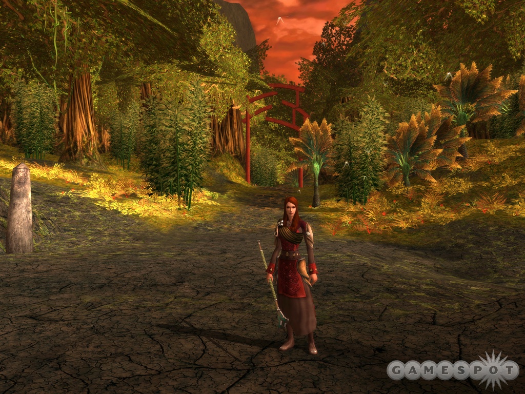 DDO Platinum intruction - Dungeons & Dragons Online News - www.goldicq.com